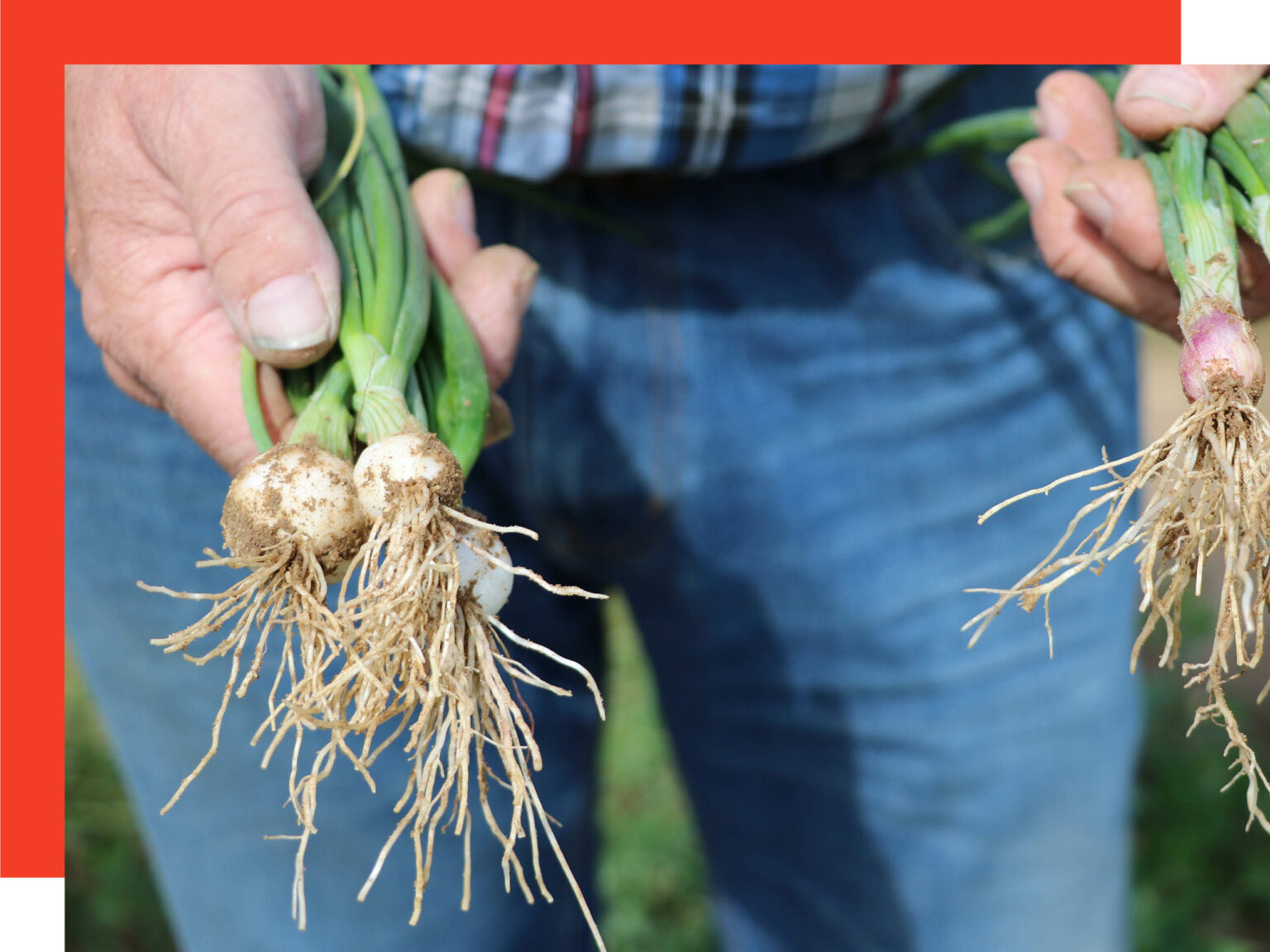 MRS, spécialiste de la restauration en entreprise - MRS